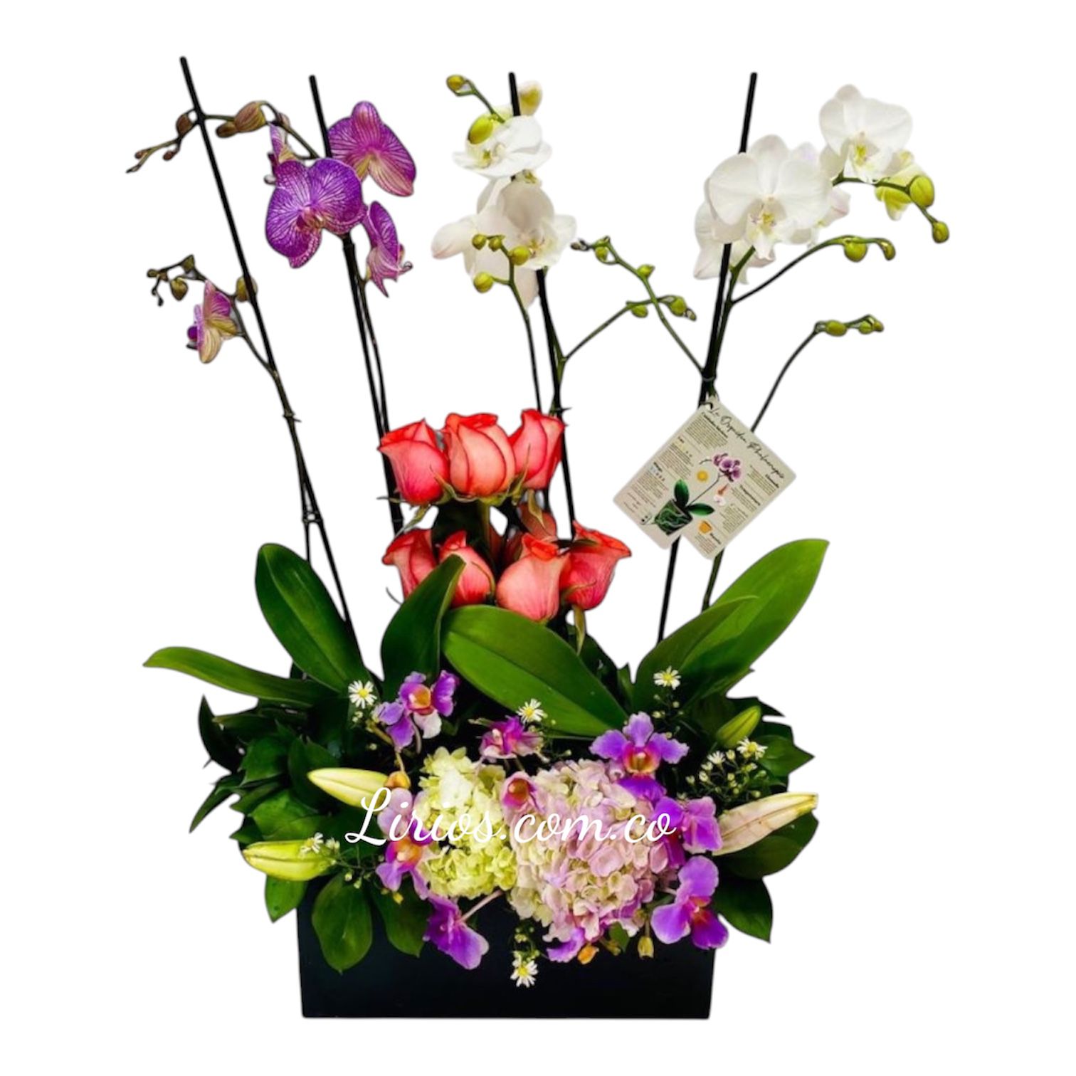 Floristería en Cali – Ramos de Flores Premium a Domicilio | Floristería ...